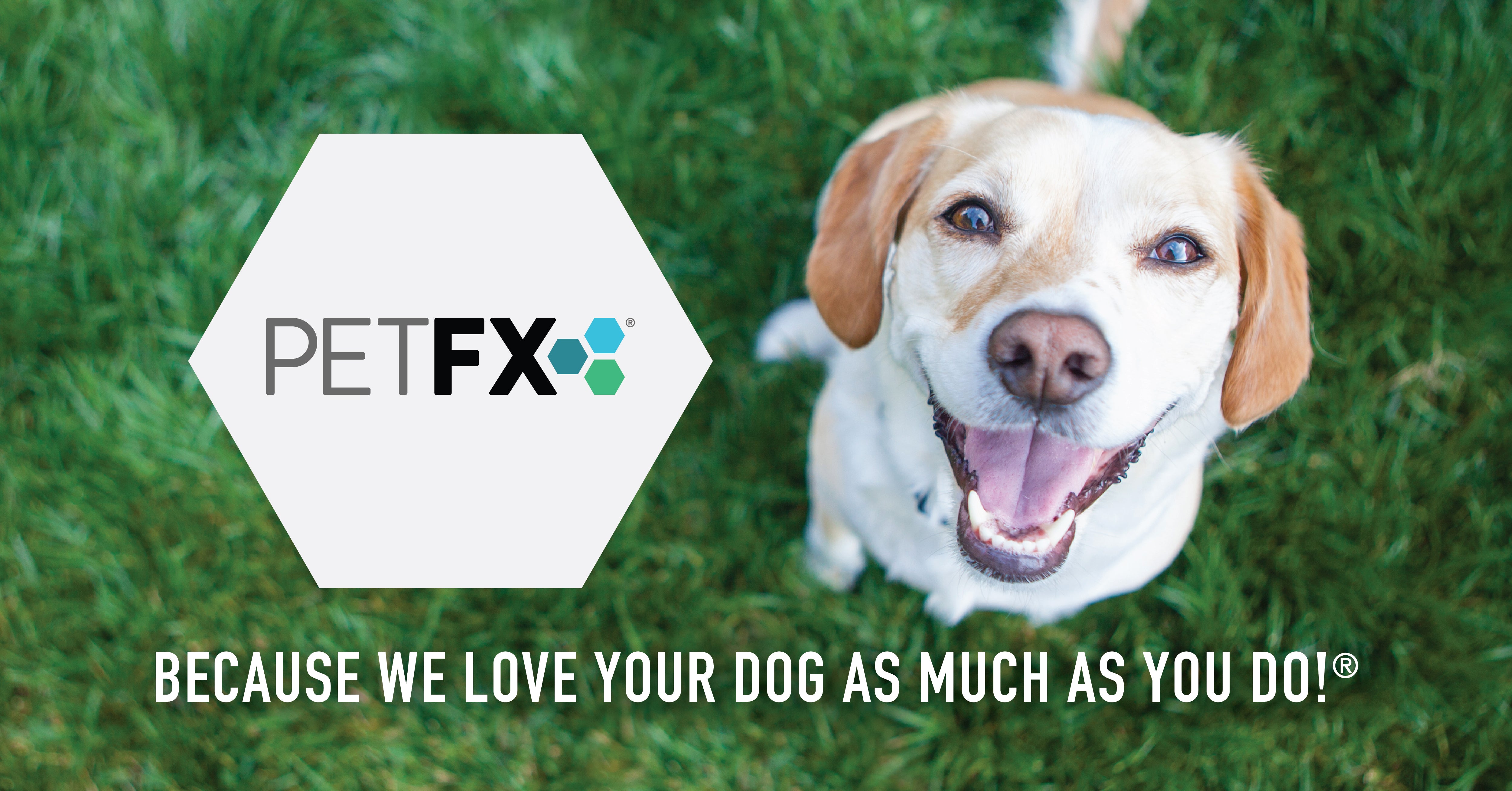 Pet-FX® Products- Keep Your Dog Feeling Healthy