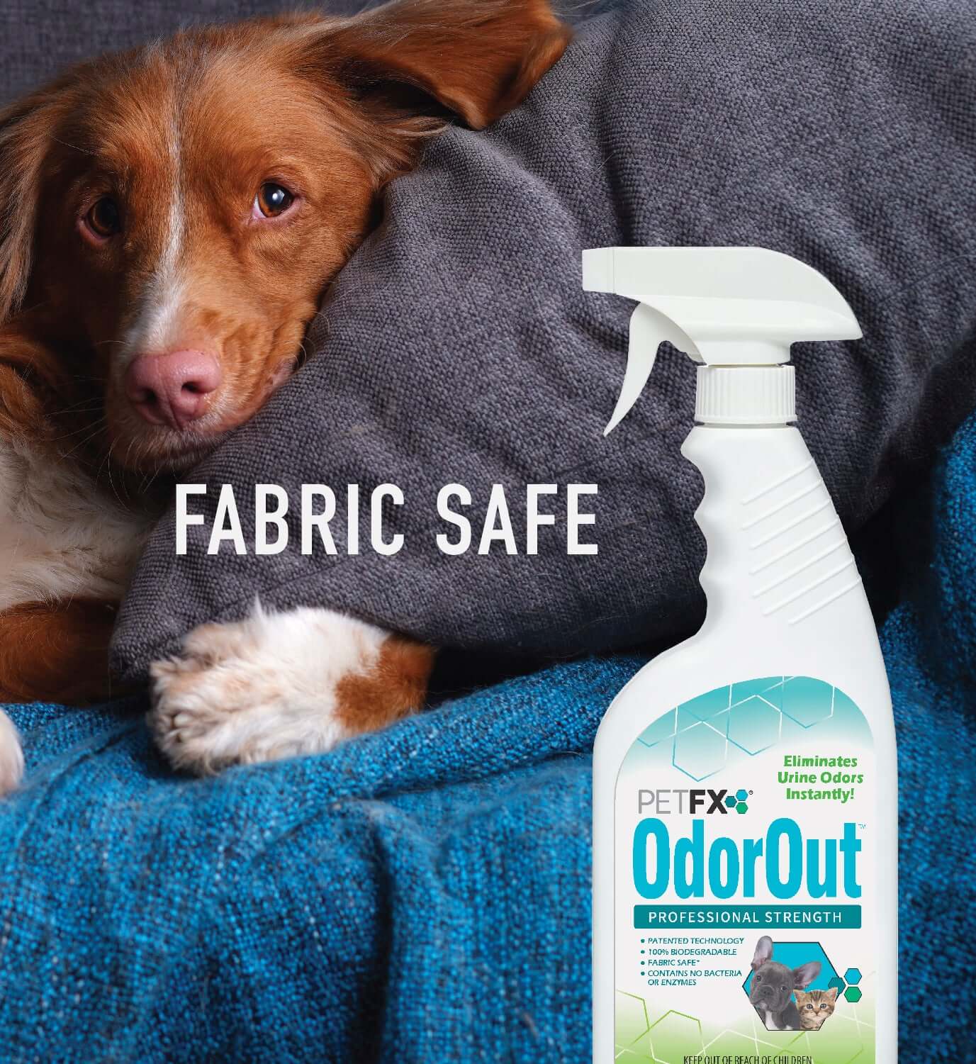 Pet-FX® Products- Keep Your Dog Feeling Healthy